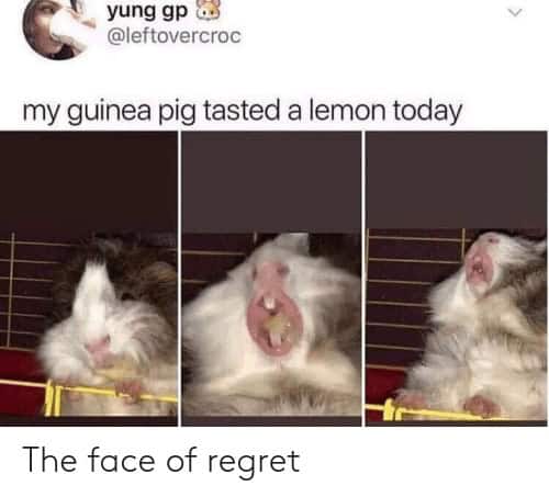 Fruit Memes: 40 Memes So Fresh They Still Have Stickers