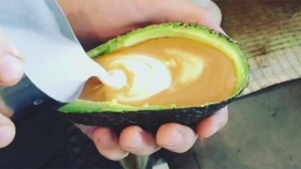 Fruit Memes: 40 Memes So Fresh They Still Have Stickers