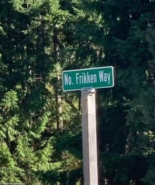 Funny Signs: 27 Hilariously Odd Signs in the Wild