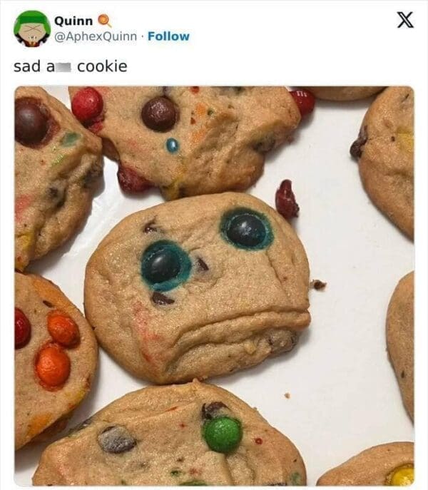 40 Funny X Posts That Prove Twitter (X) Is Still as Unhinged as Ever