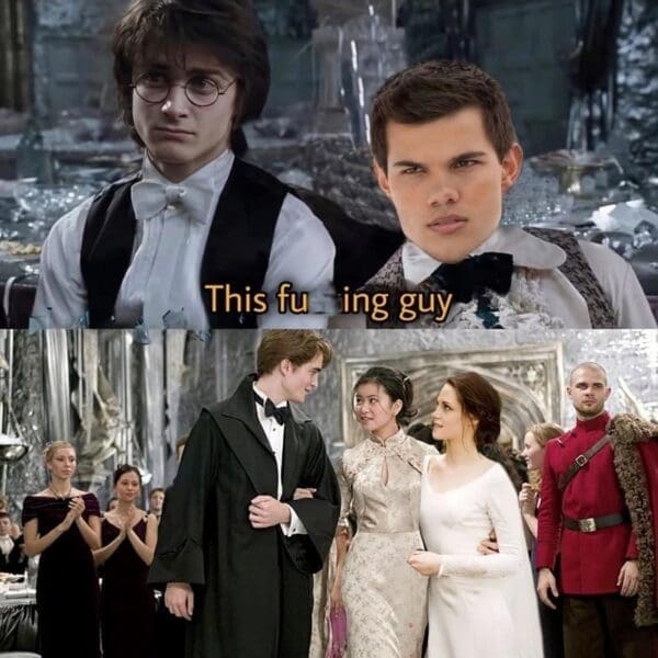 40 Harry Potter Memes That Are Pure Comedy Gold(en Snitch)