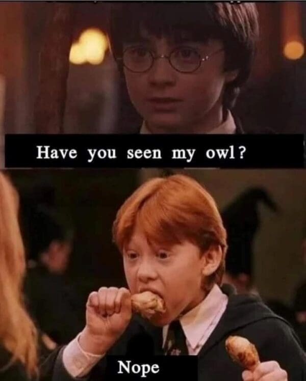 40 Harry Potter Memes That Are Pure Comedy Gold(en Snitch)
