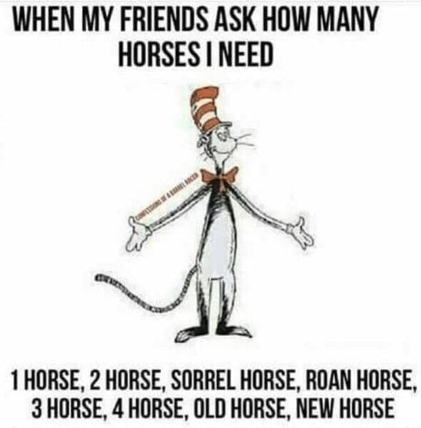 Horse Memes: 40 Memes For The Horse Girls & Boys