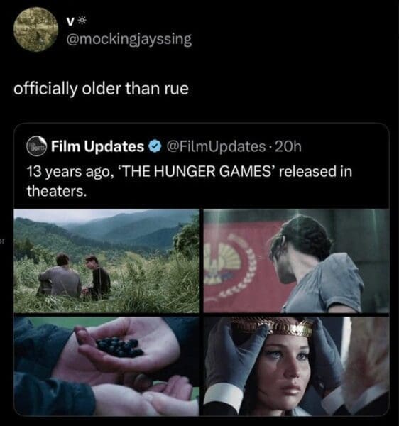 Hunger Games Memes: 42 Gems For The Tributes