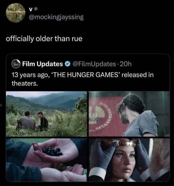 Hunger Games Memes: 42 Gems For The Tributes
