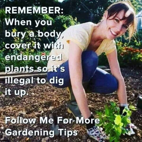 45 Lawn Care Memes To Make Your Inner Dad Proud
