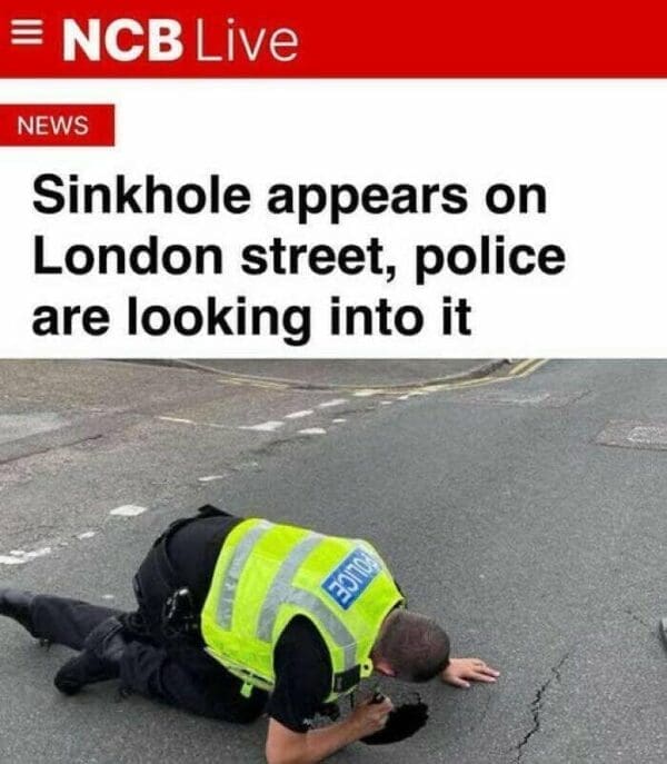 28 Literal Memes That Delivered Exactly What They Promised