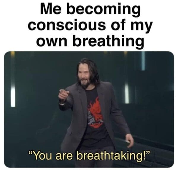 40 Meditation Memes For Everyone Who's Ever Failed at Inner Peace