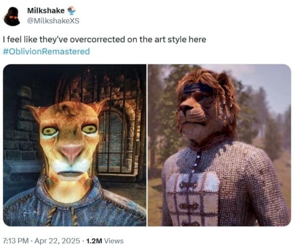 Oblivion Remastered Memes: 39 Reactions To The Bethesda Drop