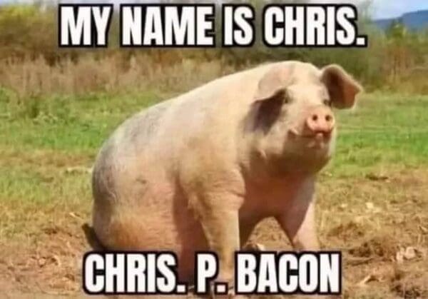 Pig Memes: 35 Memes From The Trough