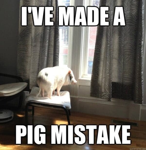 Pig Memes: 35 Memes From The Trough