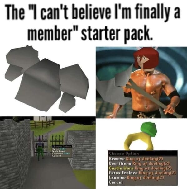 Runescape Memes: Oldschool Gems To Celebrate Dragon Wilds