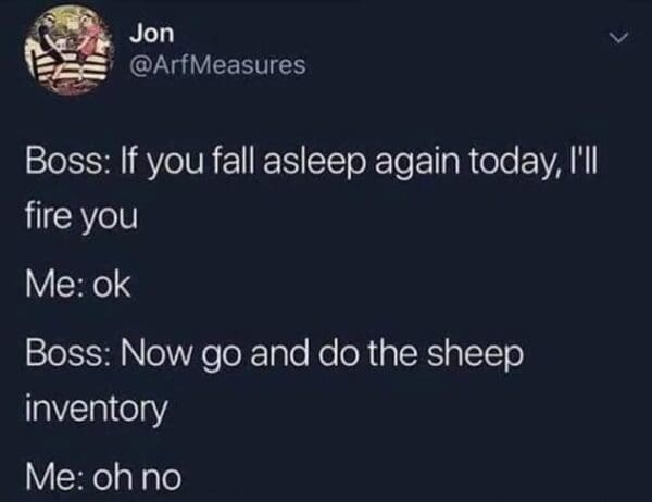 16 Hilarious Sheep Memes Proving Ewe Were Right to Scroll