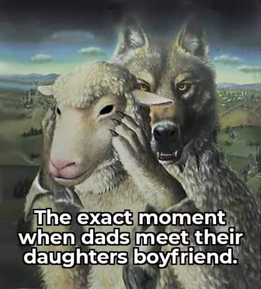 16 Hilarious Sheep Memes Proving Ewe Were Right to Scroll