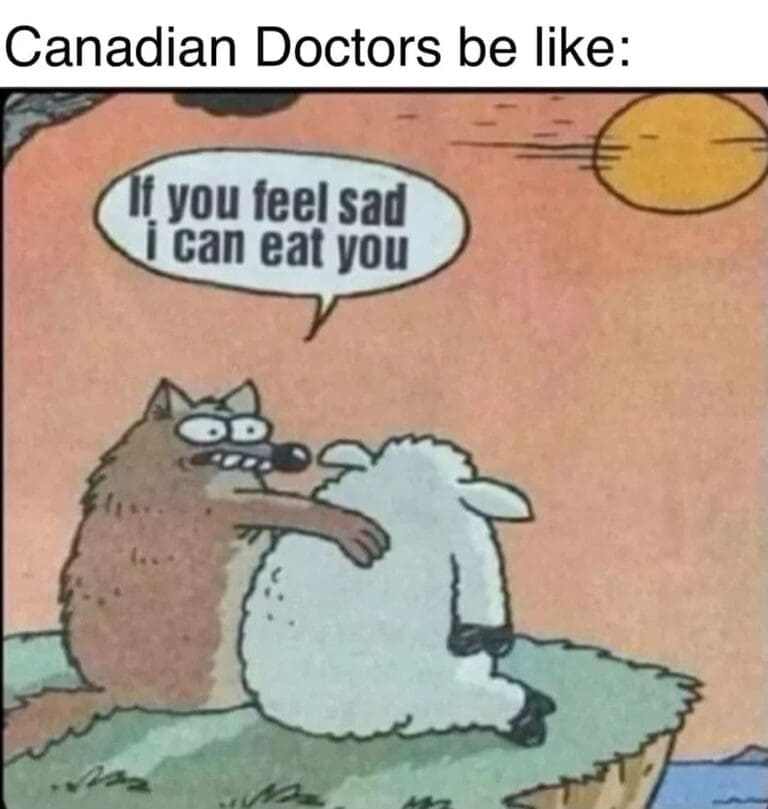 16 Hilarious Sheep Memes Proving Ewe Were Right to Scroll
