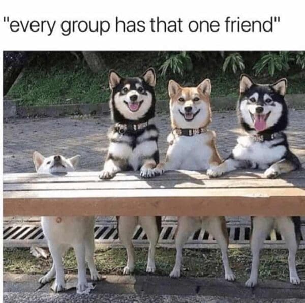 42 Short Memes for the Short Kings and Queens That Prove Good Things ...