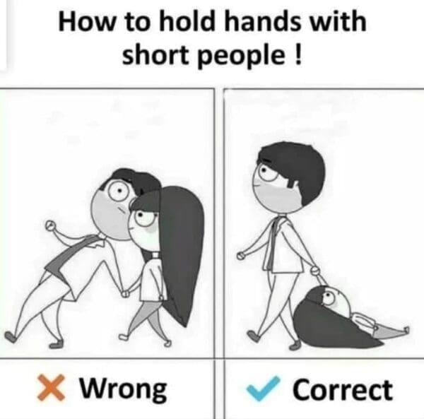 42 Short Memes for the Short Kings and Queens That Prove Good Things ...
