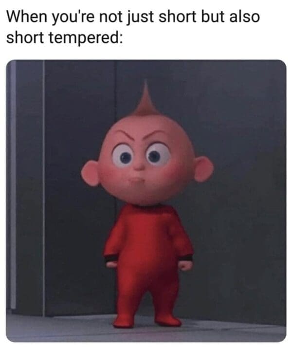 42 Short Memes for the Short Kings and Queens That Prove Good Things ...