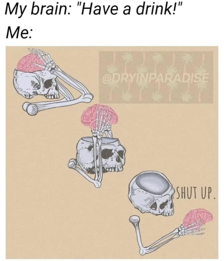 32 Sobriety Memes That Are Better Than Any Happy Hour