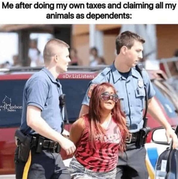Tax Memes: 40 Memes For Your Tax Filing Struggles