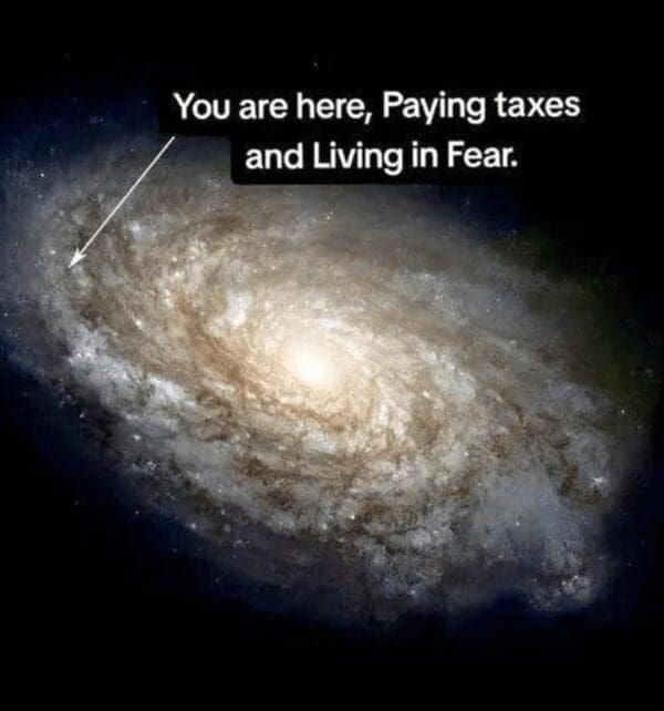Tax Memes: 40 Memes For Your Tax Filing Struggles