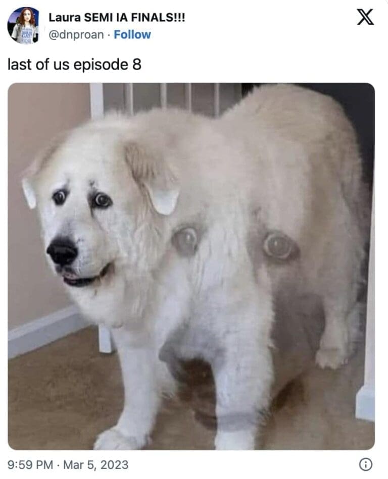 The Last of Us Memes: 35 S1 Memes For the Season 2 Premiere