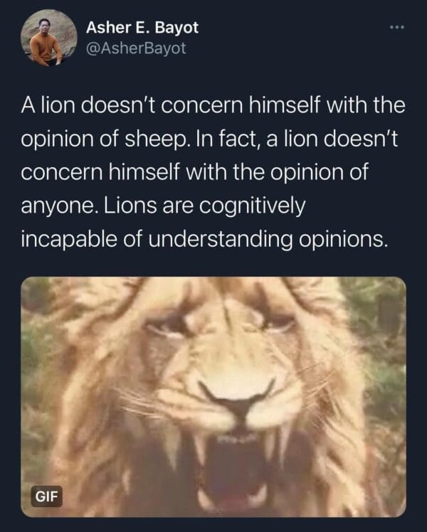 The Lion Memes: 19 Times The Lion Did Not Concern Himself