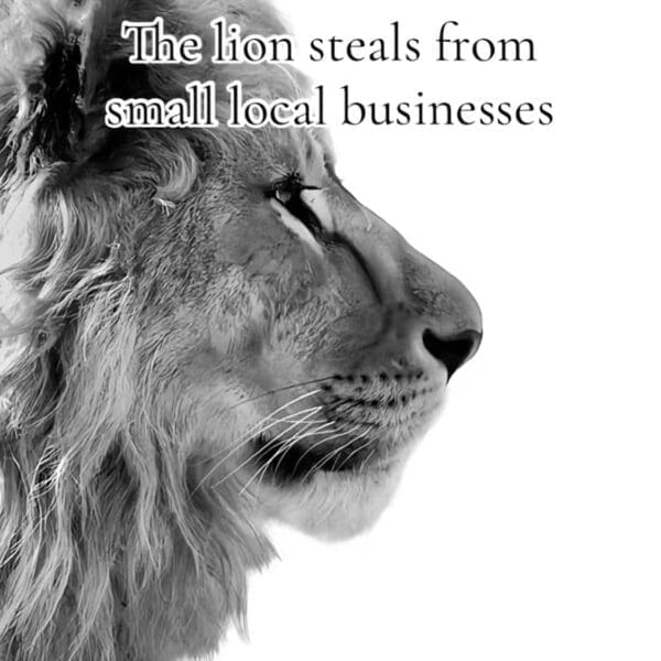 The Lion Memes: 19 Times The Lion Did Not Concern Himself