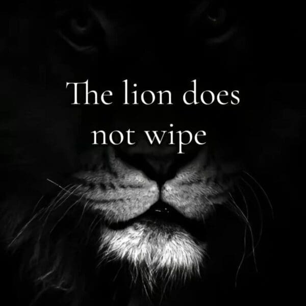 The Lion Memes: 19 Times The Lion Did Not Concern Himself