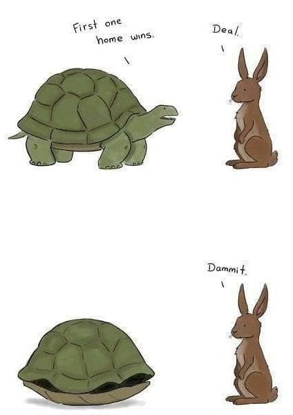 Turtle Memes: 45 Memes With Slow Pace, Fast Punchlines