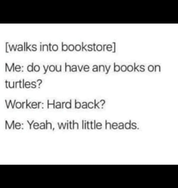 Turtle Memes: 45 Memes With Slow Pace, Fast Punchlines