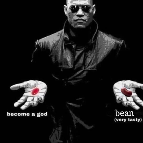 Beans Meme Dump: 40 Bean Memes Honoring The Recall