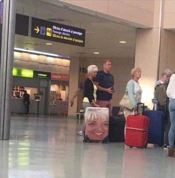 Blursed Images: 45 Pics That Bless and Curse in One Glance