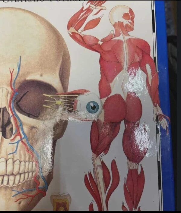 Blursed Images: 45 Pics That Bless and Curse in One Glance