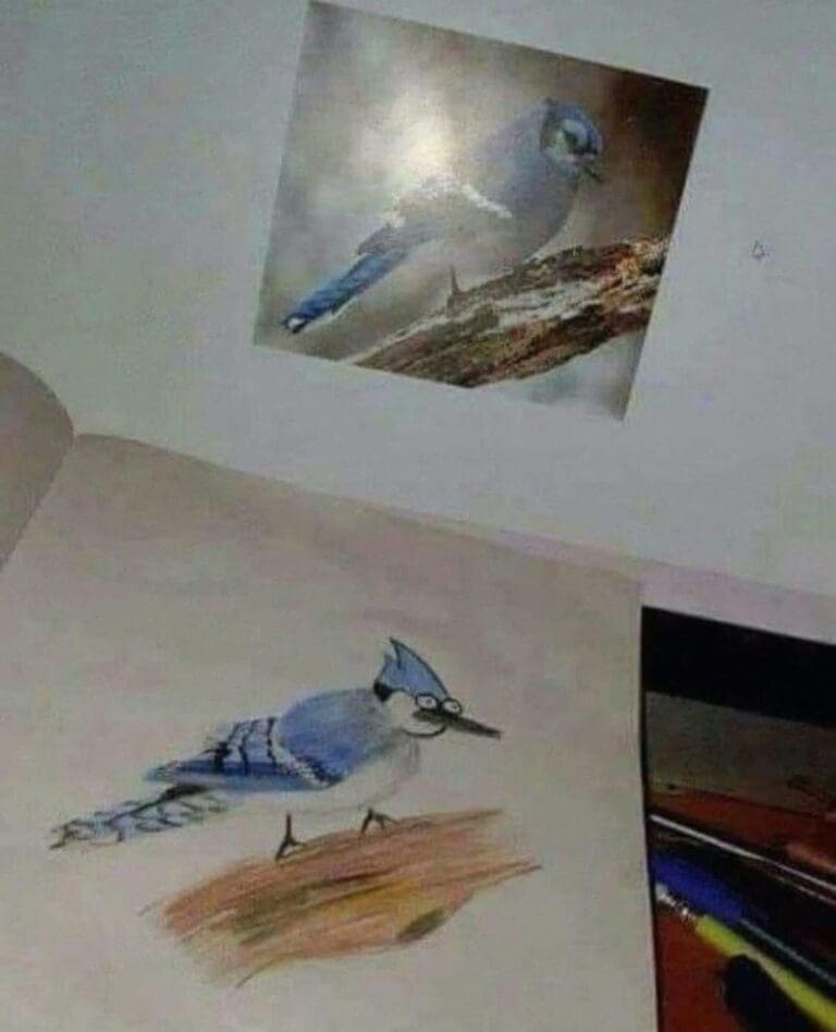 Blursed Images: 45 Pics That Bless and Curse in One Glance