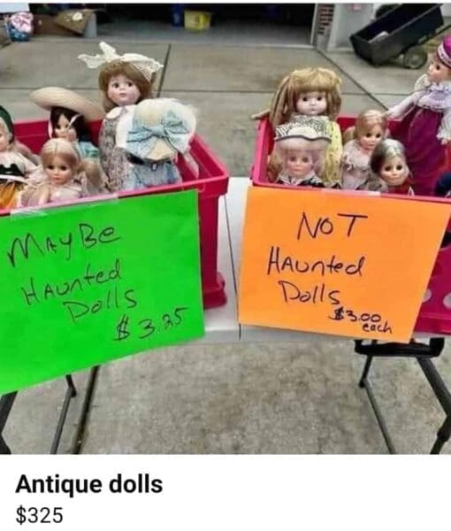 Blursed Images: 45 Pics That Bless and Curse in One Glance