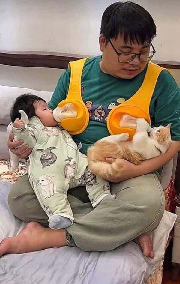 Blursed Images: 45 Pics That Bless and Curse in One Glance