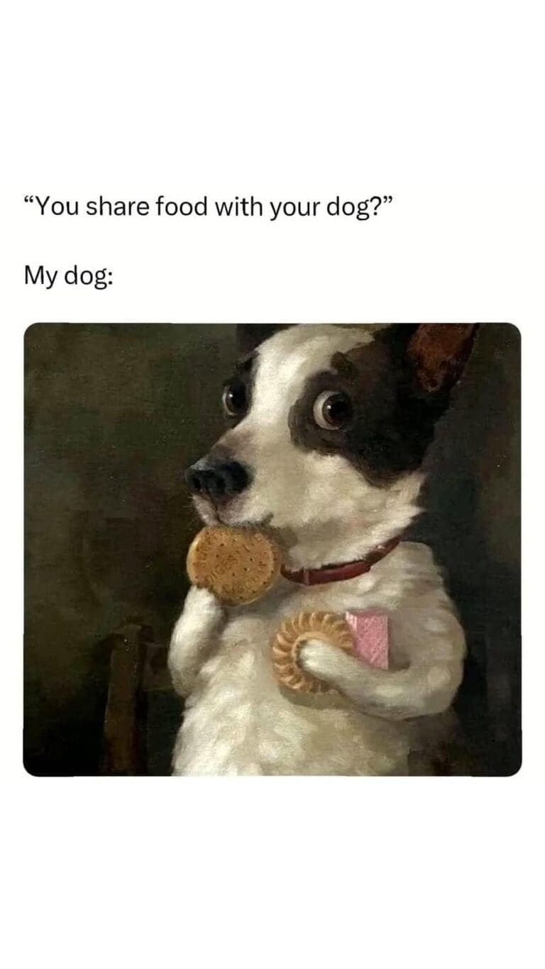Classic Memes: 25 OG Jokes Surviving Every Scroll