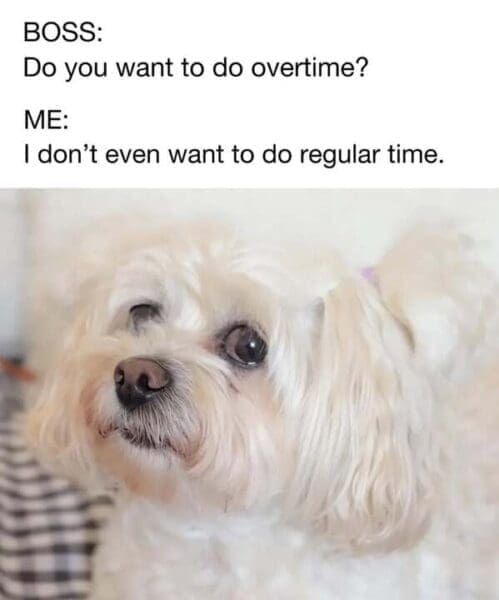 45 Clean Memes Perfect for Laughs at Work