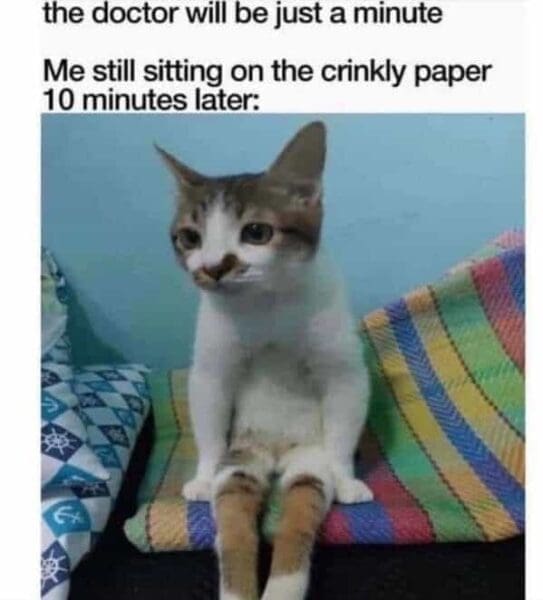 45 Clean Memes Perfect for Laughs at Work