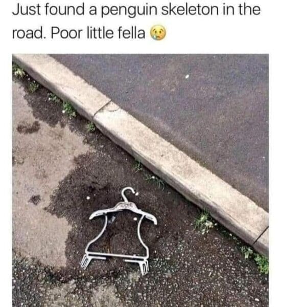 45 Clean Memes Perfect for Laughs at Work