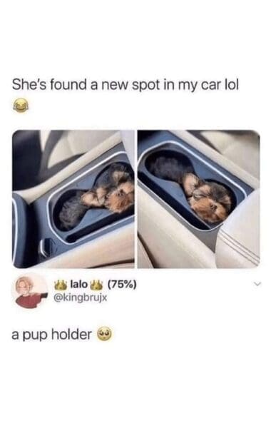 45 Clean Memes Perfect for Laughs at Work