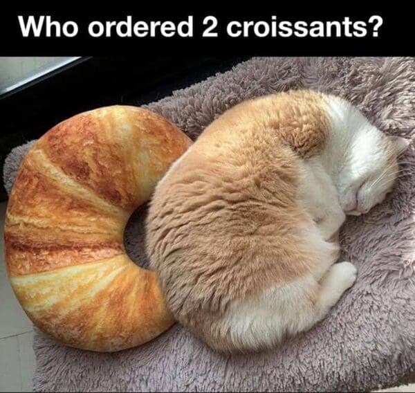 Croissant Meme Dump: 24 Flaky Laughs for Breakfast