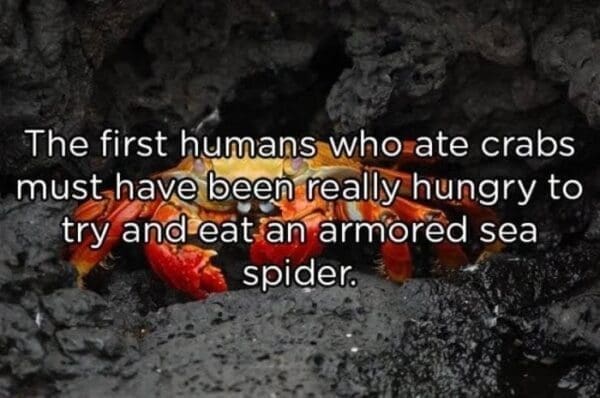 30 High Thoughts That Are Deeply Profound and Profoundly Useless