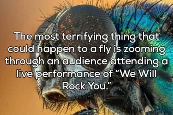 30 High Thoughts That Are Deeply Profound and Profoundly Useless