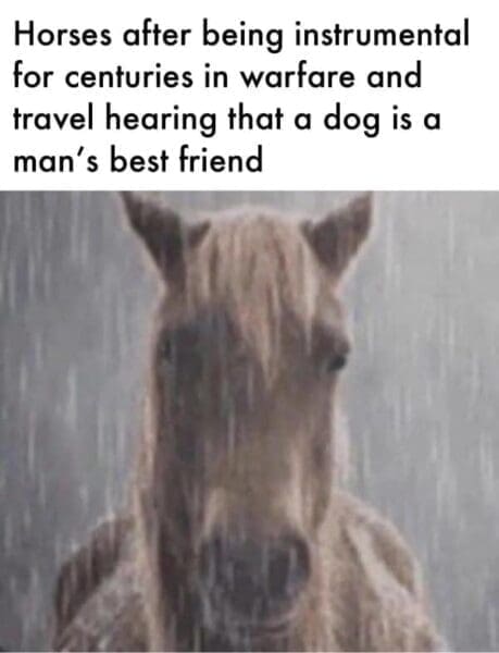 26 Historical Memes That Won't Rewrite the History Books