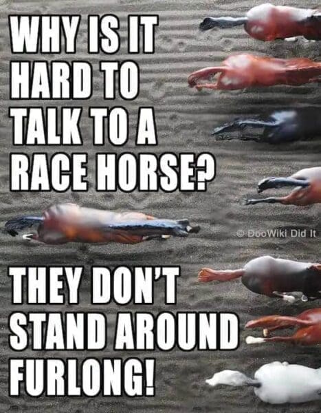 Kentucky Derby Memes: 32 Gems From This Past Weekend