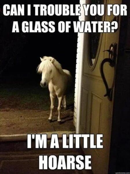 Kentucky Derby Memes: 32 Gems From This Past Weekend