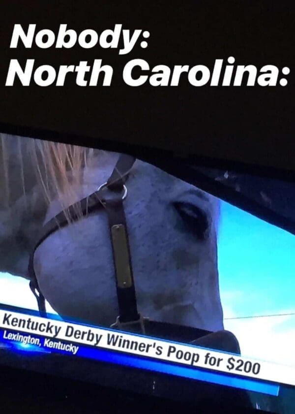 Kentucky Derby Memes: 32 Gems From This Past Weekend