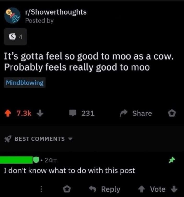 40 Bizarrely Funny Out of Context Reddit Posts
